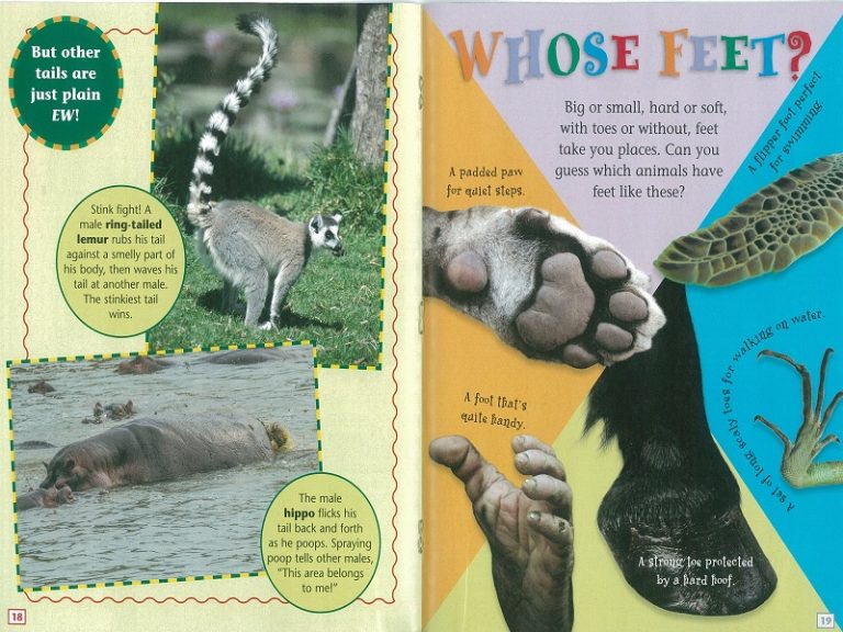 CLICK MAGAZINE – 9 ISSUES – Adept Learning Pte Ltd