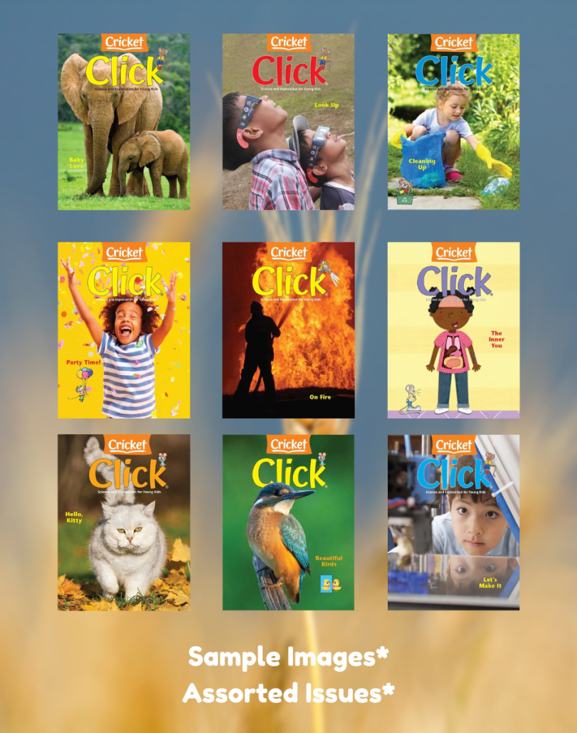 CLICK MAGAZINE – 9 ISSUES – Adept Learning Pte Ltd